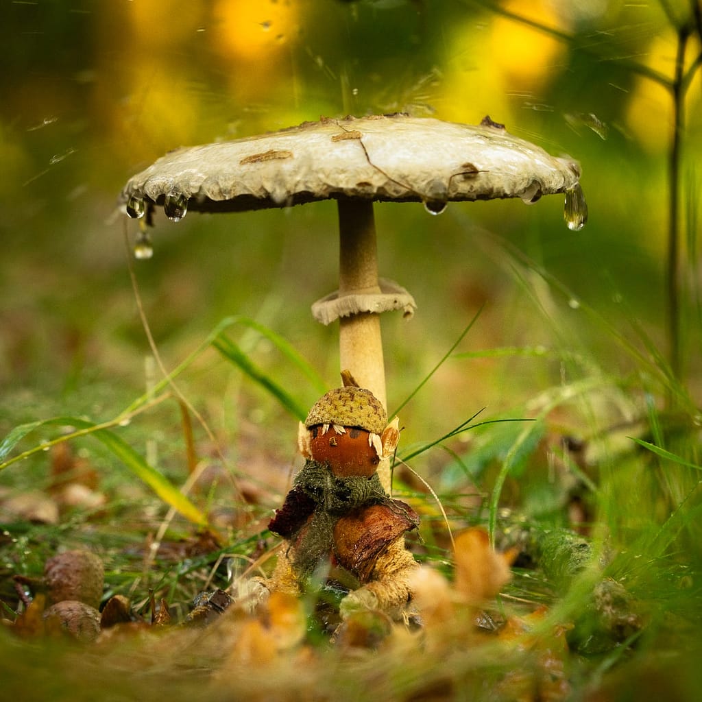 Mushroom Crafts for Fairy Gardens Full of Whimsy • Aimee River