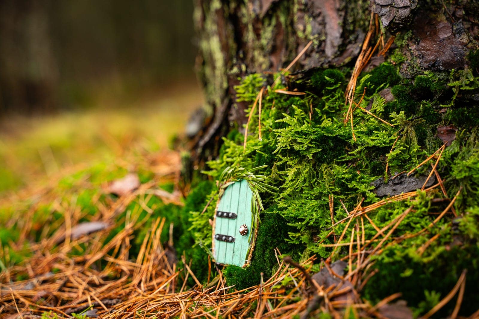 Make your own fairy door with this whimsical DIY project | • Aimee River